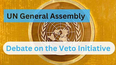 German Statement in the United Nations General Assembly on Use of the ...