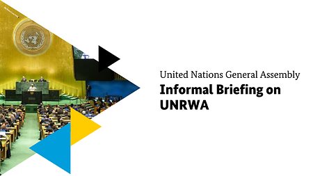 Statement of Germany during the United Nations General Assembly Informal Briefing on UNRWA, 6 ...